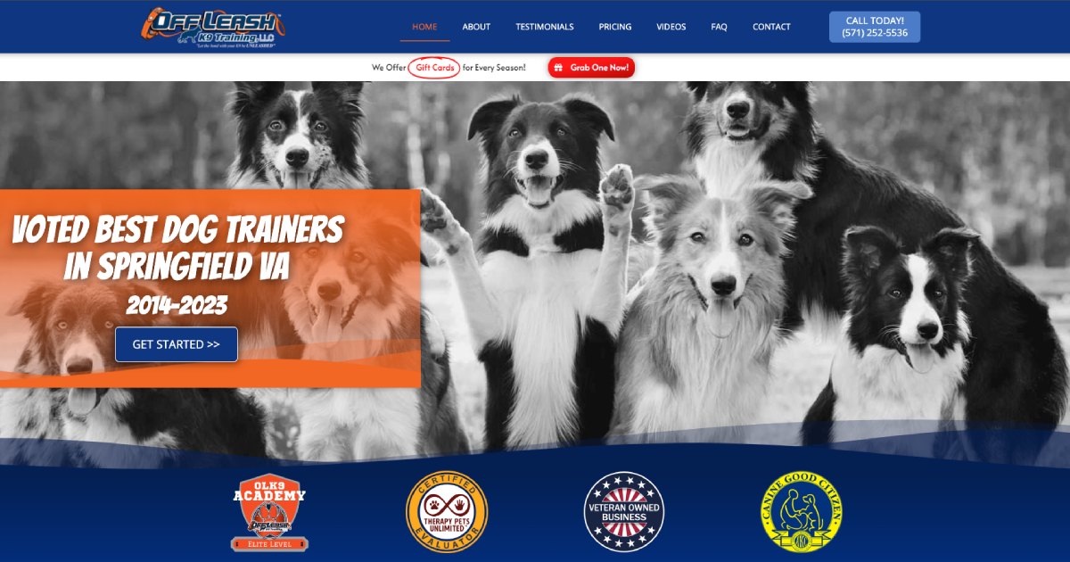 Dog Training In Springfield Virginia - Off Leash K9 Training